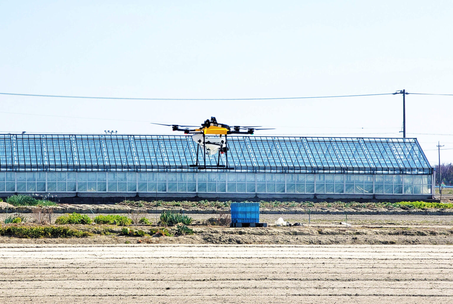 SkyLink Japan (スカイリンクジャパン)